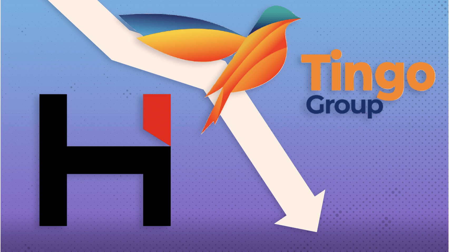 What if Tingo is just Polly Peck all over again? - FxExplained